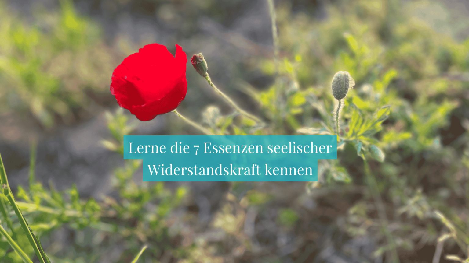 Was ist Resilienz und wie kann ich resilienter werden?